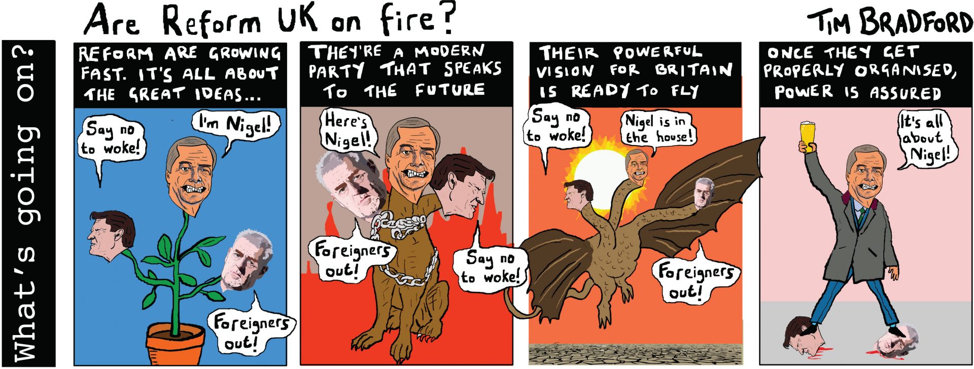Cartoon: Are Reform UK on fire? - The New World