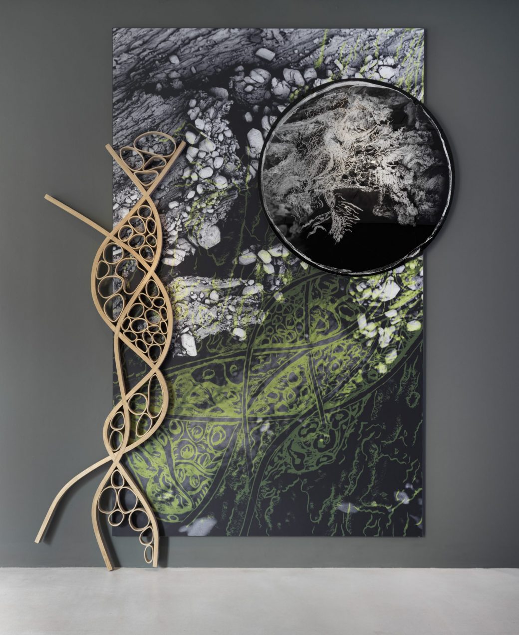 Jane and Louise Wilson, the twins who saw it coming - The New World