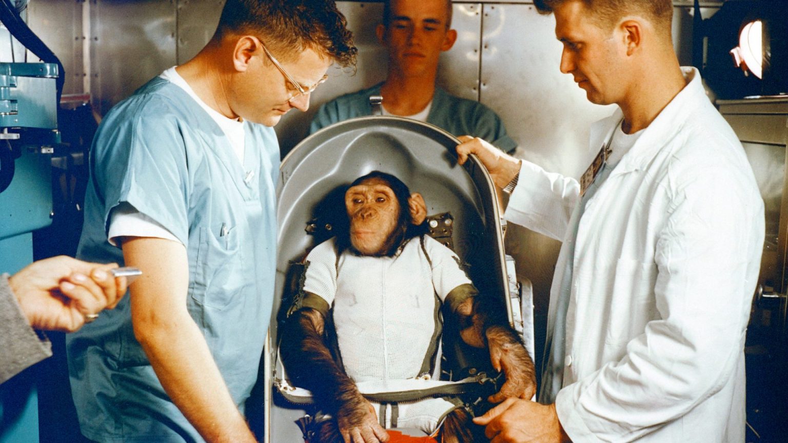 Ham, the chimp that launched the space age - The New World