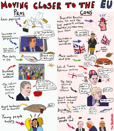 Tim Bradford's cartoon: Moving closer to the EU - The New World